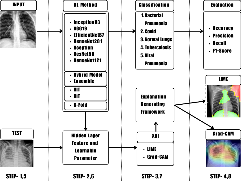 [2404.11428] Explainable Lung Disease Classification from Chest X-Ray ...