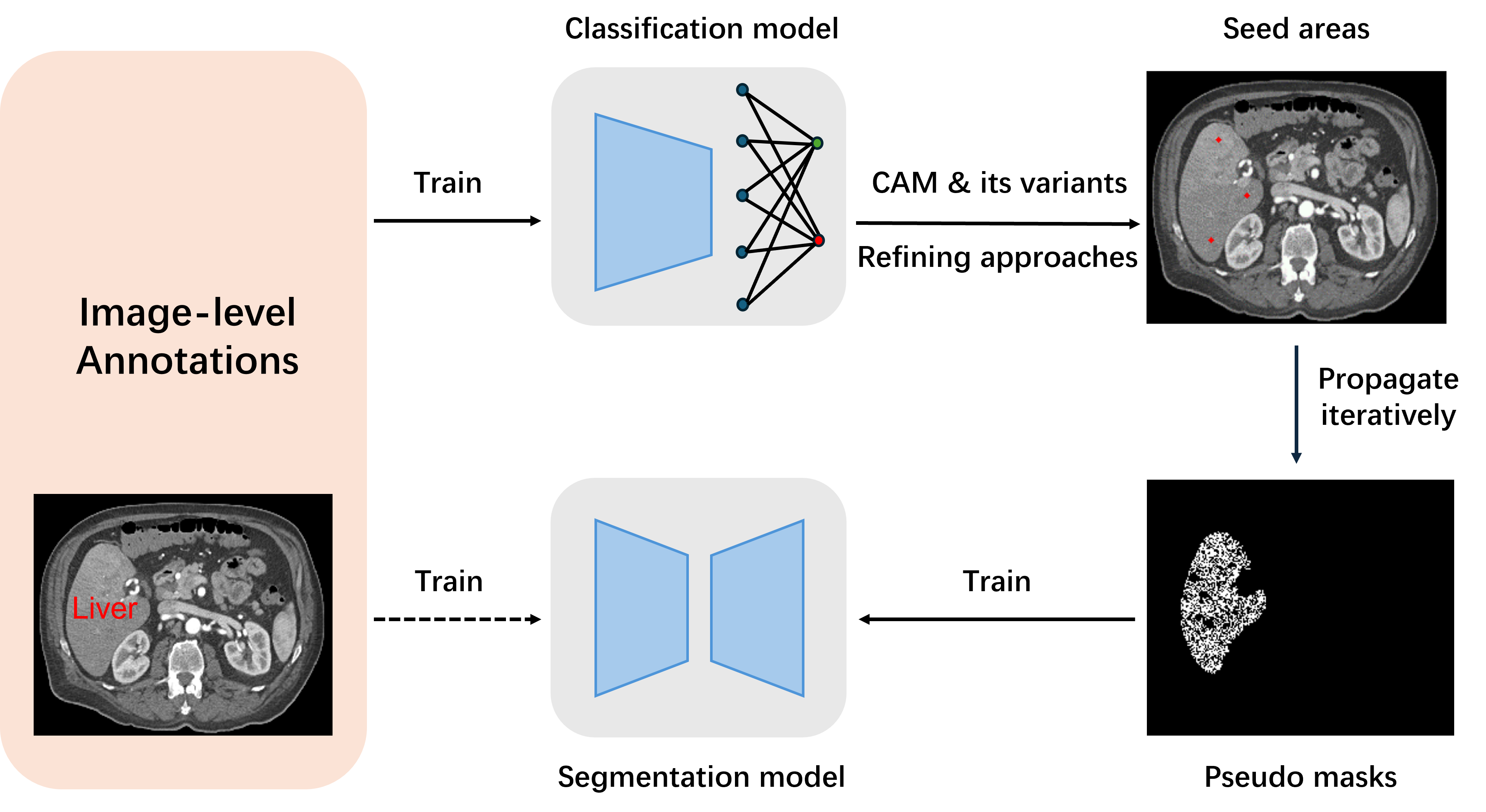 [2404.13239] Beyond Pixel-Wise Supervision for Medical Image ...