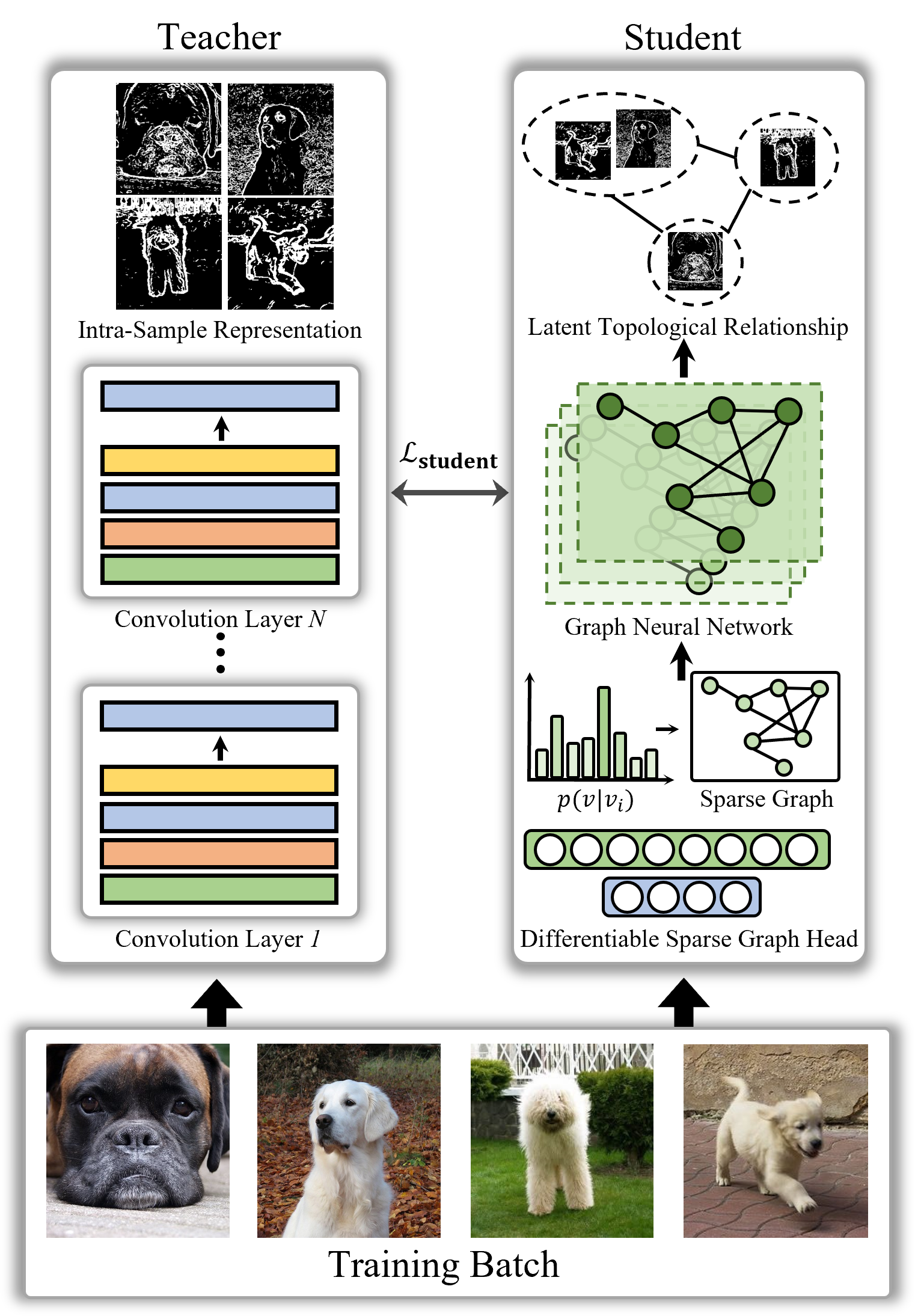 [2404.14822] CNN2GNN: How to Bridge CNN with GNN