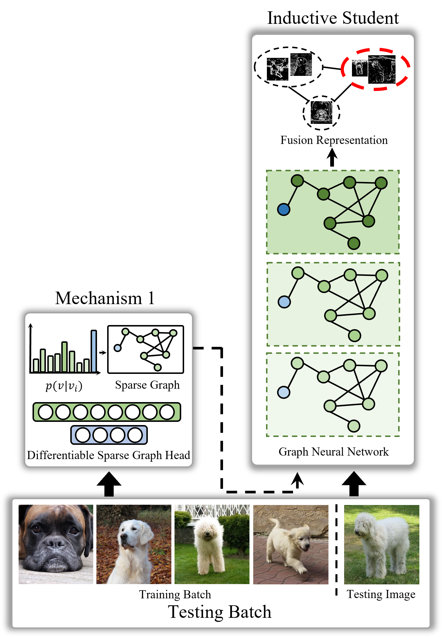 [2404.14822] CNN2GNN: How to Bridge CNN with GNN
