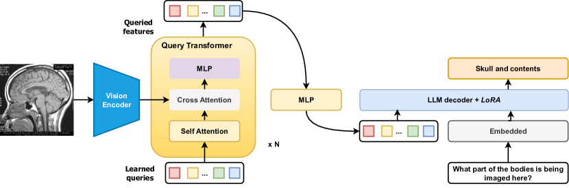 [2404.16192] Fusion of Domain-Adapted Vision and Language Models for ...