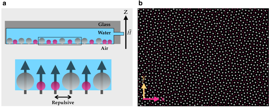 [2405.06494] Experimental identification of topological defects in 2D ...
