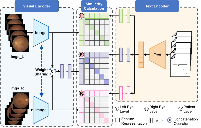 [2405.14137] RET-CLIP: A Retinal Image Foundation Model Pre-trained ...