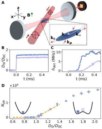 [2405.18204] Non-equilibrium dynamics of long-range interacting Fermions