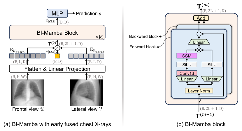 [2405.18533] Cardiovascular Disease Detection from Multi-View Chest X ...