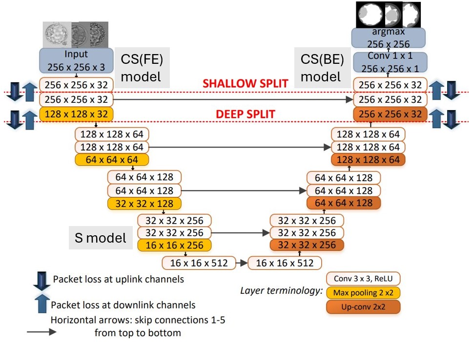 [2405.19453] Optimizing Split Points for Error-Resilient SplitFed Learning