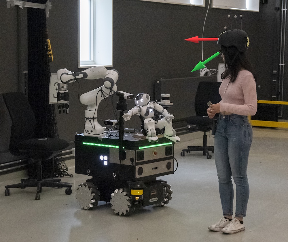 [2406.06300] Human Gaze and Head Rotation during Navigation ...