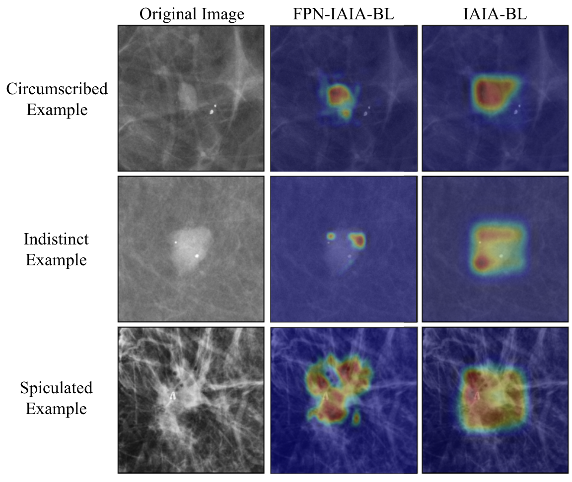 [2406.06386] FPN-IAIA-BL: A Multi-Scale Interpretable Deep Learning Model for Classification of ...