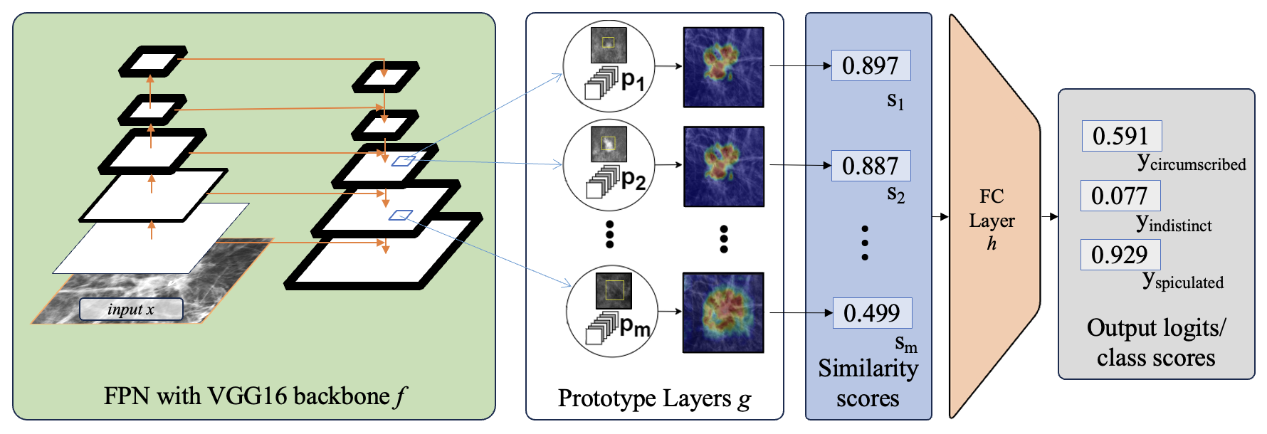 [2406.06386] FPN-IAIA-BL: A Multi-Scale Interpretable Deep Learning Model for Classification of ...