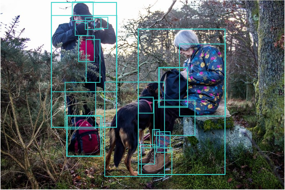 [2406.09201] Enhanced Object Detection: A Study on Vast Vocabulary ...