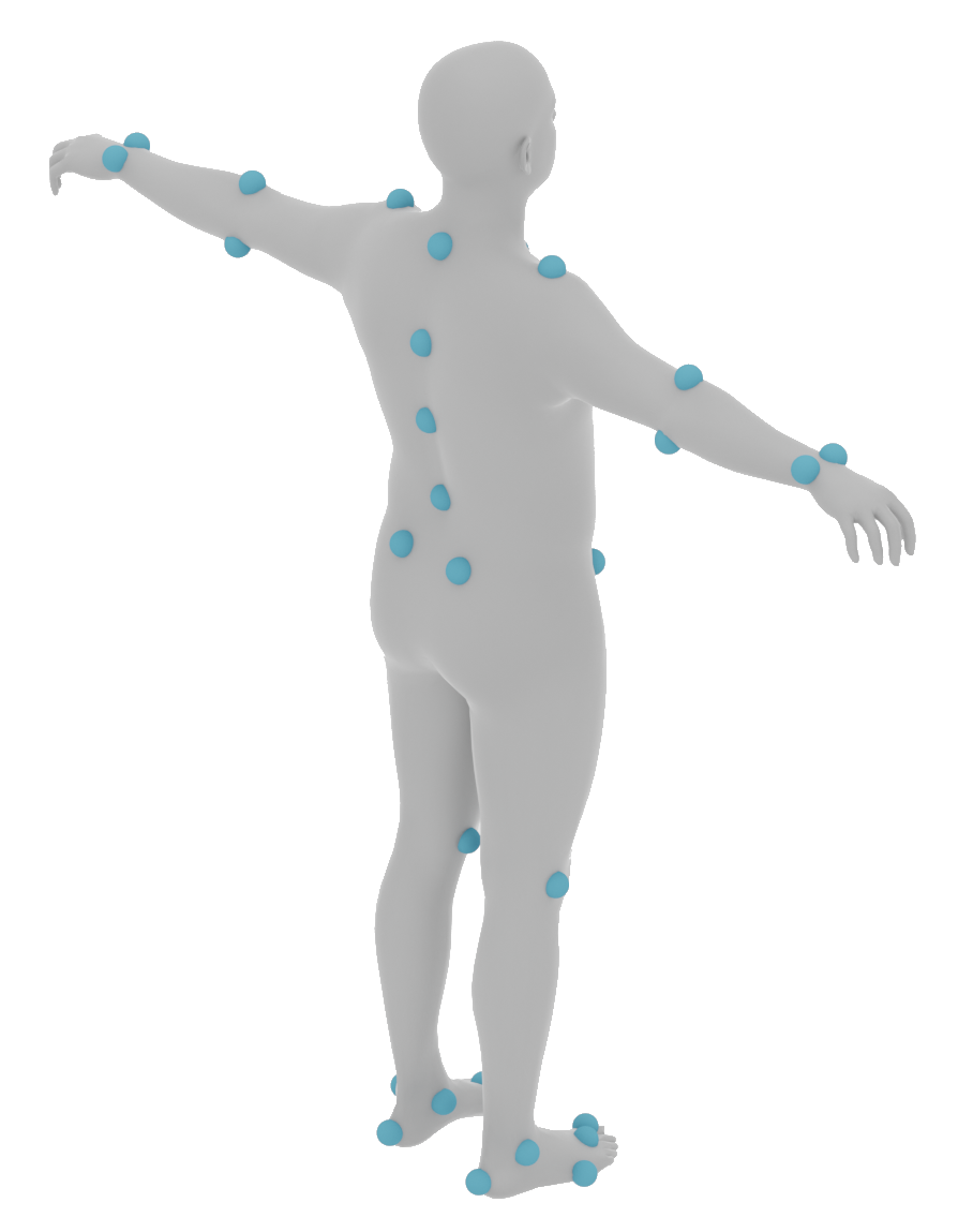 [2406.09788] OpenCapBench: A Benchmark to Bridge Pose Estimation and ...