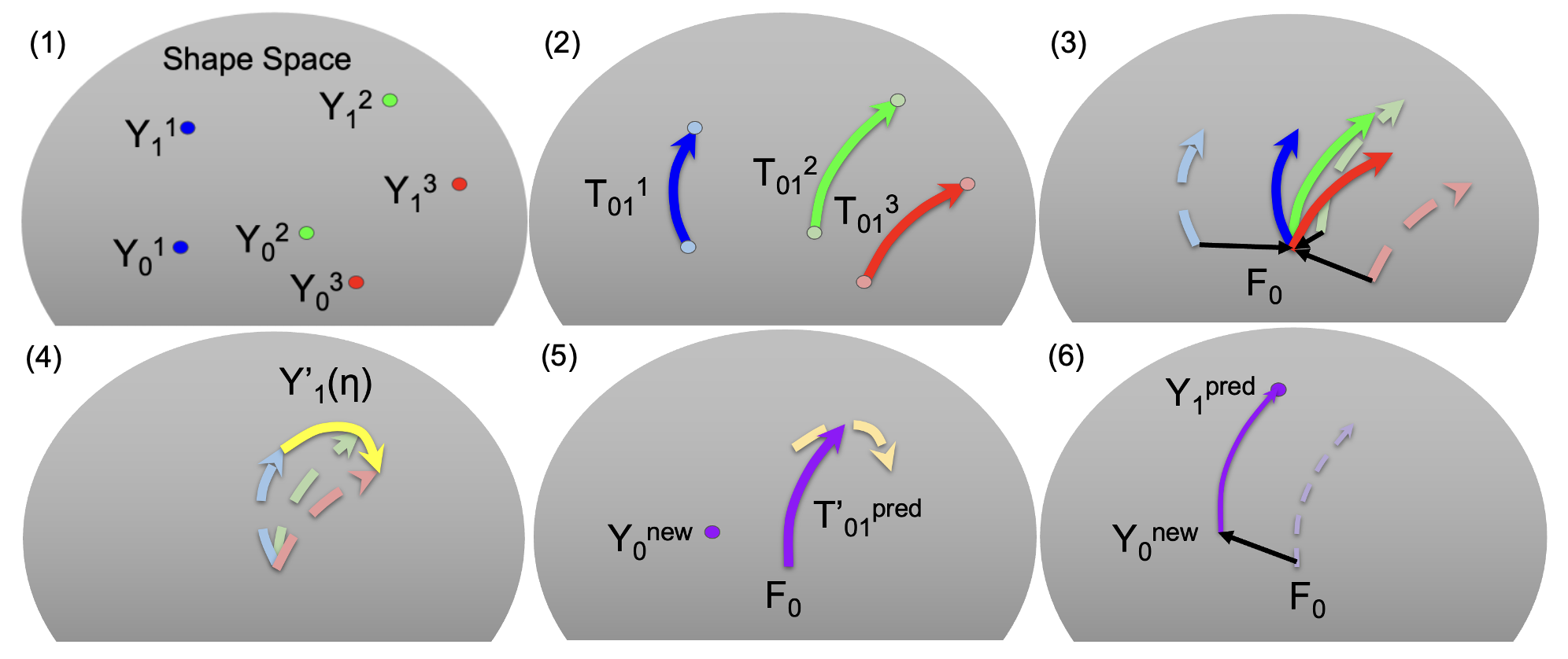 [2406.16267] Geodesic-based Predictive Shape Modeling on Right ...