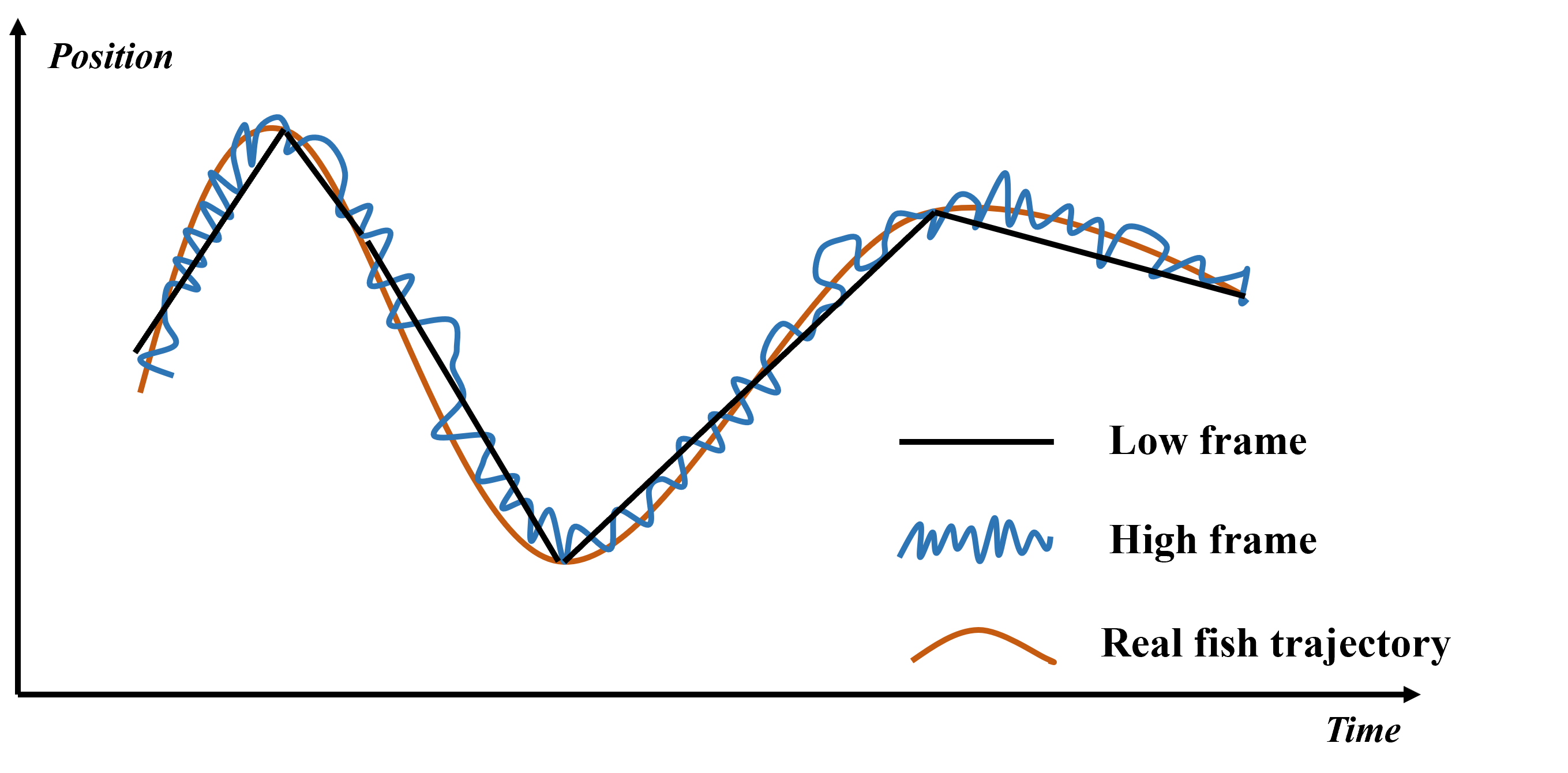 [2406.17800] Fish Tracking, Counting, and Behaviour Analysis in Digital ...