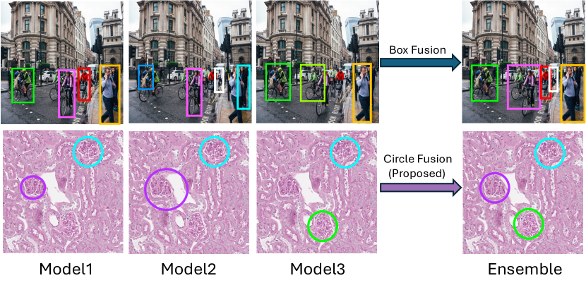 [2406.19540] Weighted Circle Fusion: Ensembling Circle Representation ...