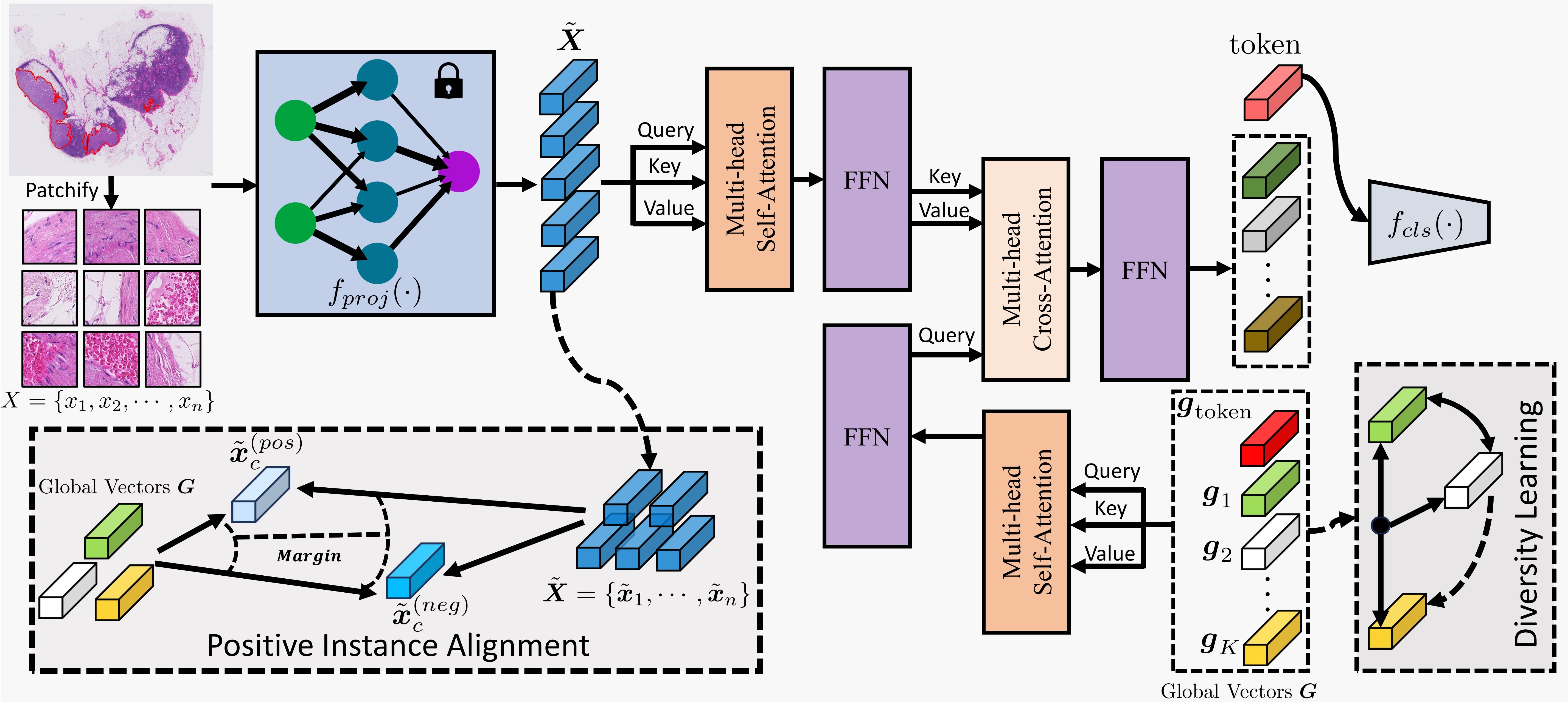 [2407.03575] DGR-MIL: Exploring Diverse Global Representation in Multiple Instance Learning for ...