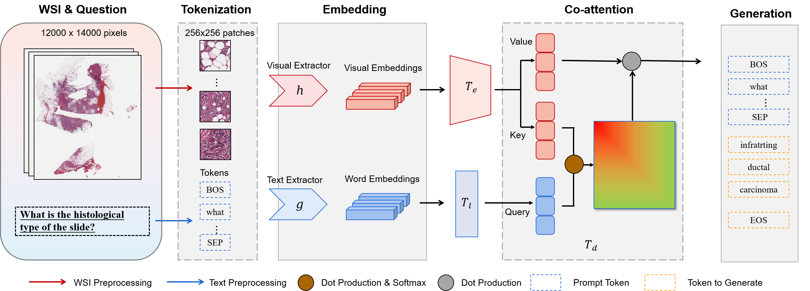 [2407.05603] WSI-VQA: Interpreting Whole Slide Images by Generative ...