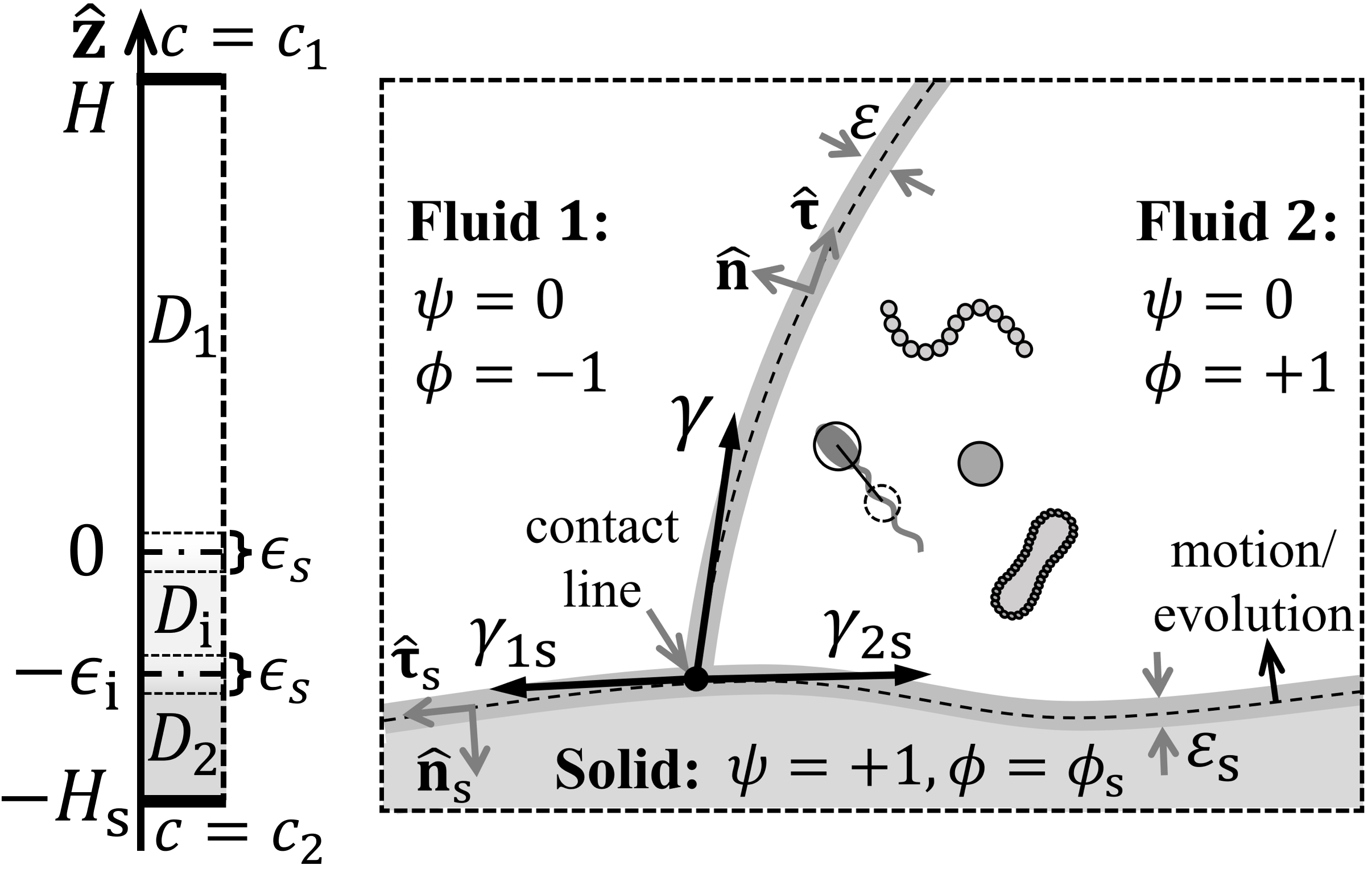 [2407.14291] Simulation Method of Microscale Fluid-Structure Interactions: Diffuse-Resistance ...