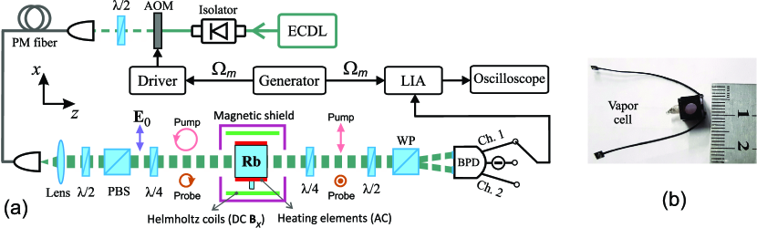 [2408.01968] All-optical atomic magnetometry using an elliptically ...