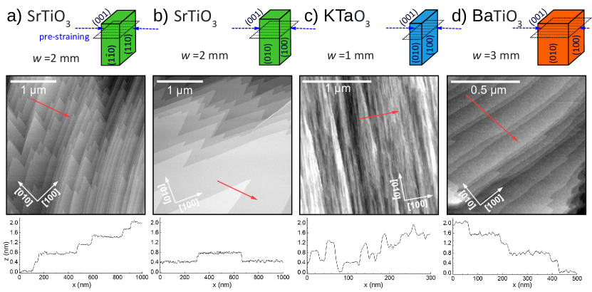 [2408.08996] How to cleave cubic perovskite oxides