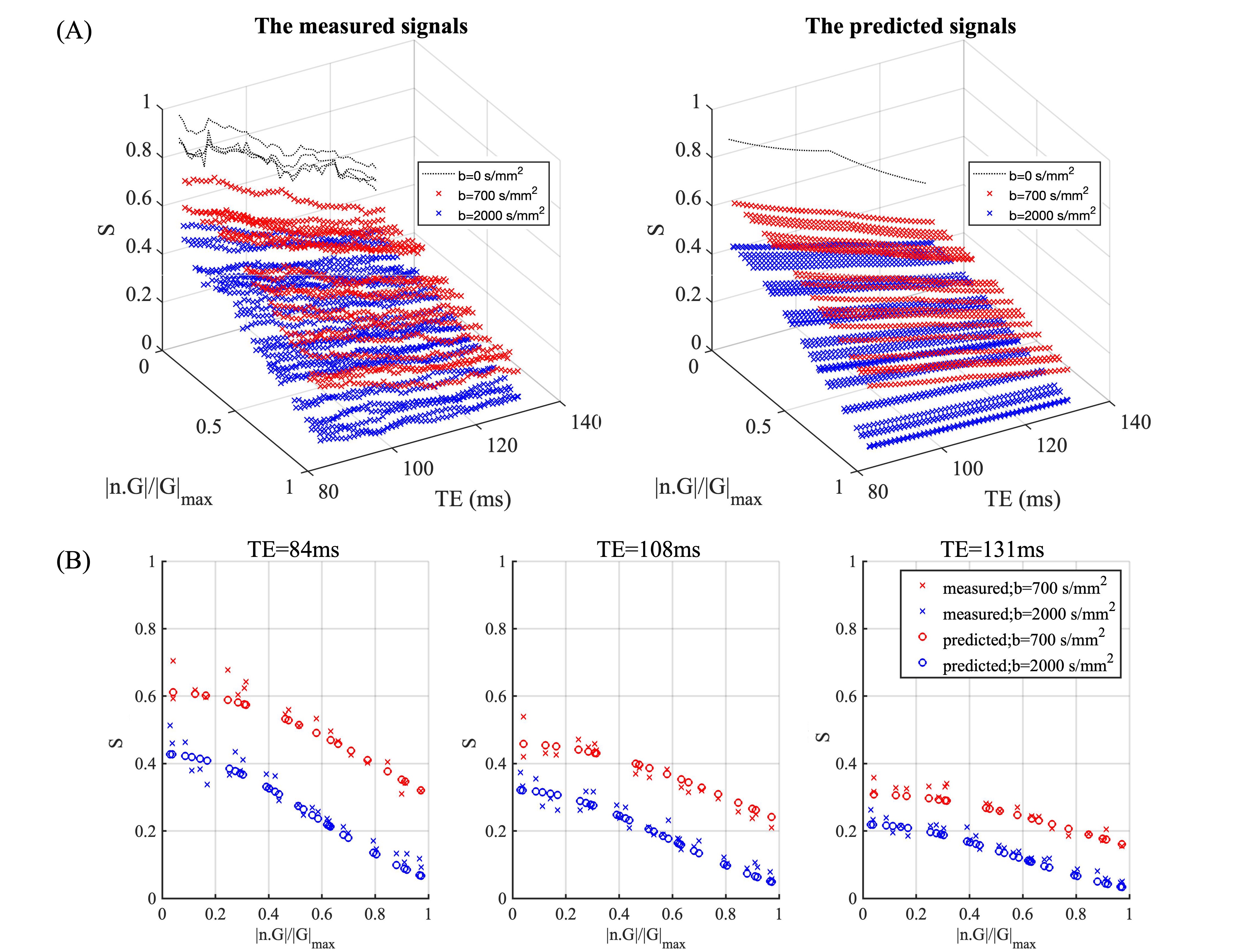 [2408.10432] Compartment-specific estimation of T2 and T2* with ...