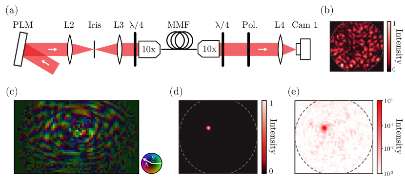 [2409.01289] Fast and light-efficient wavefront shaping with a MEMS ...
