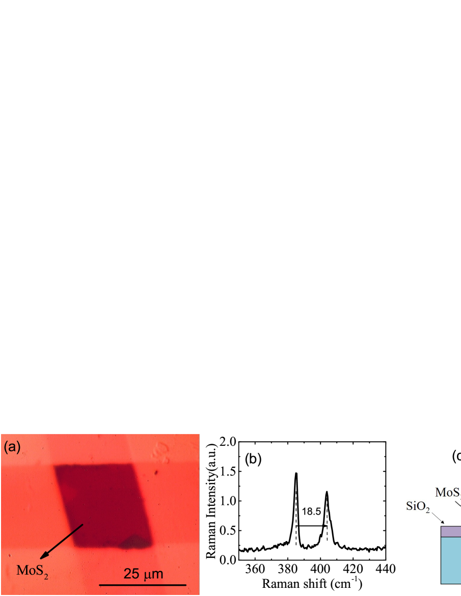 [2409.03304] Inhomogeneous hysteresis in local STM tunnel conductance ...