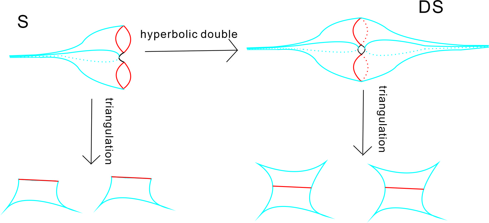 [2409.08923] The polyhedral decomposition of cusped hyperbolic 𝑛 ...