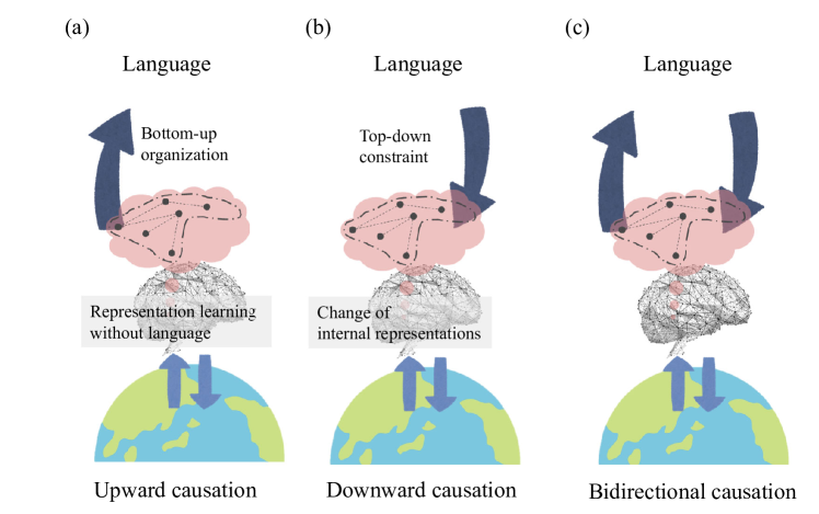 [2409.09413] Constructive Approach to Bidirectional Causation between ...