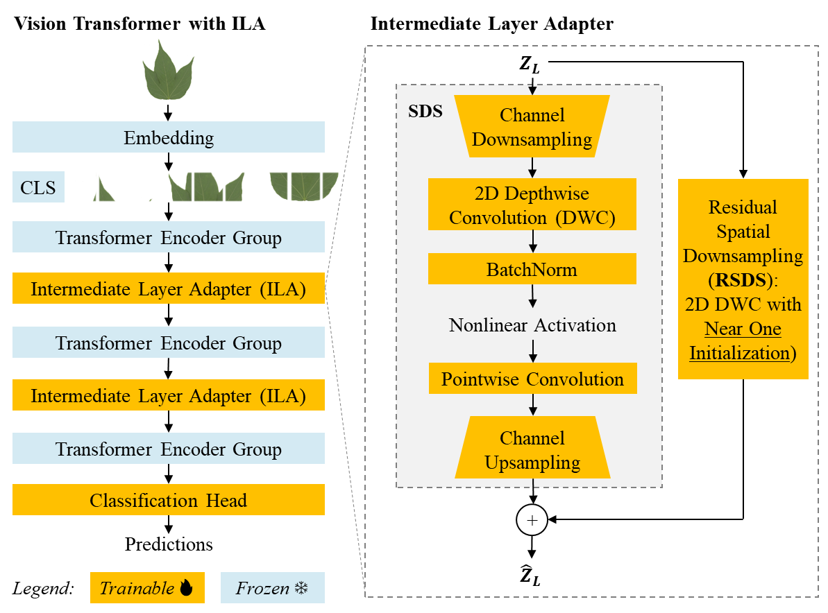 [2409.11051] Down-Sampling Inter-Layer Adapter for Parameter and ...