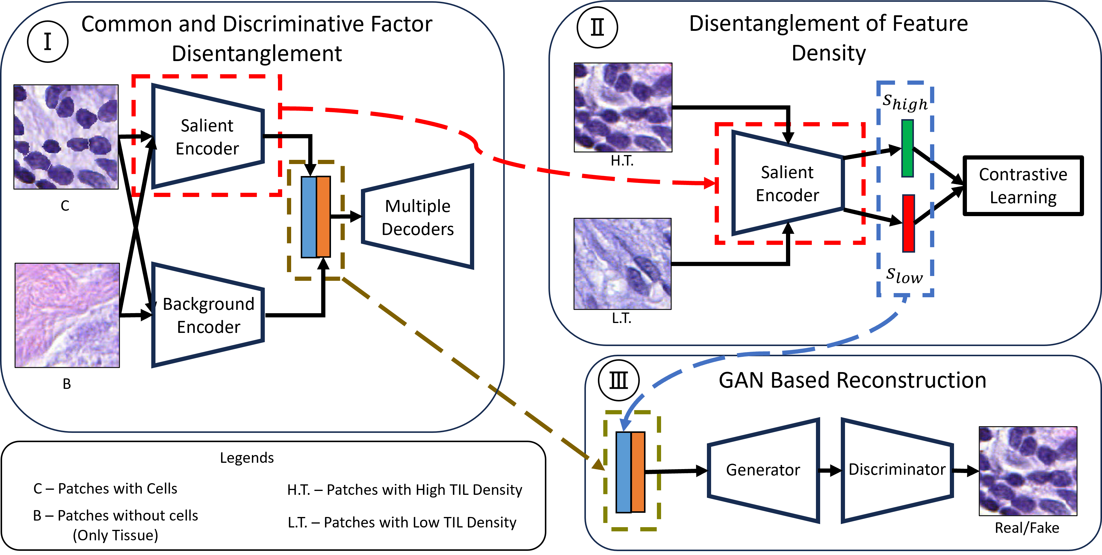[2410.02012] Semi-Supervised Contrastive VAE for Disentanglement of ...