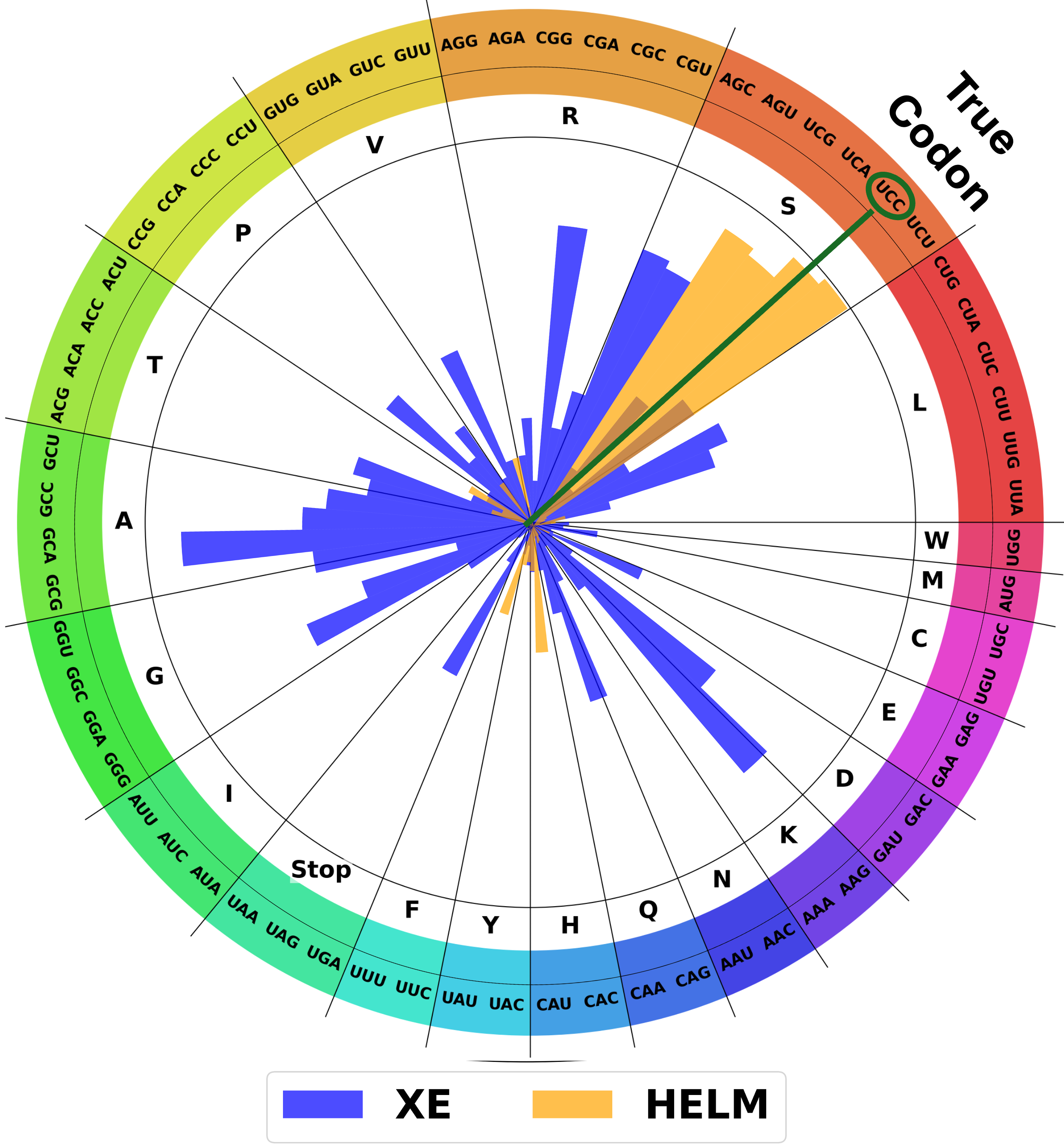 [2410.12459] HELM: Hierarchical Encoding for mRNA Language Modeling