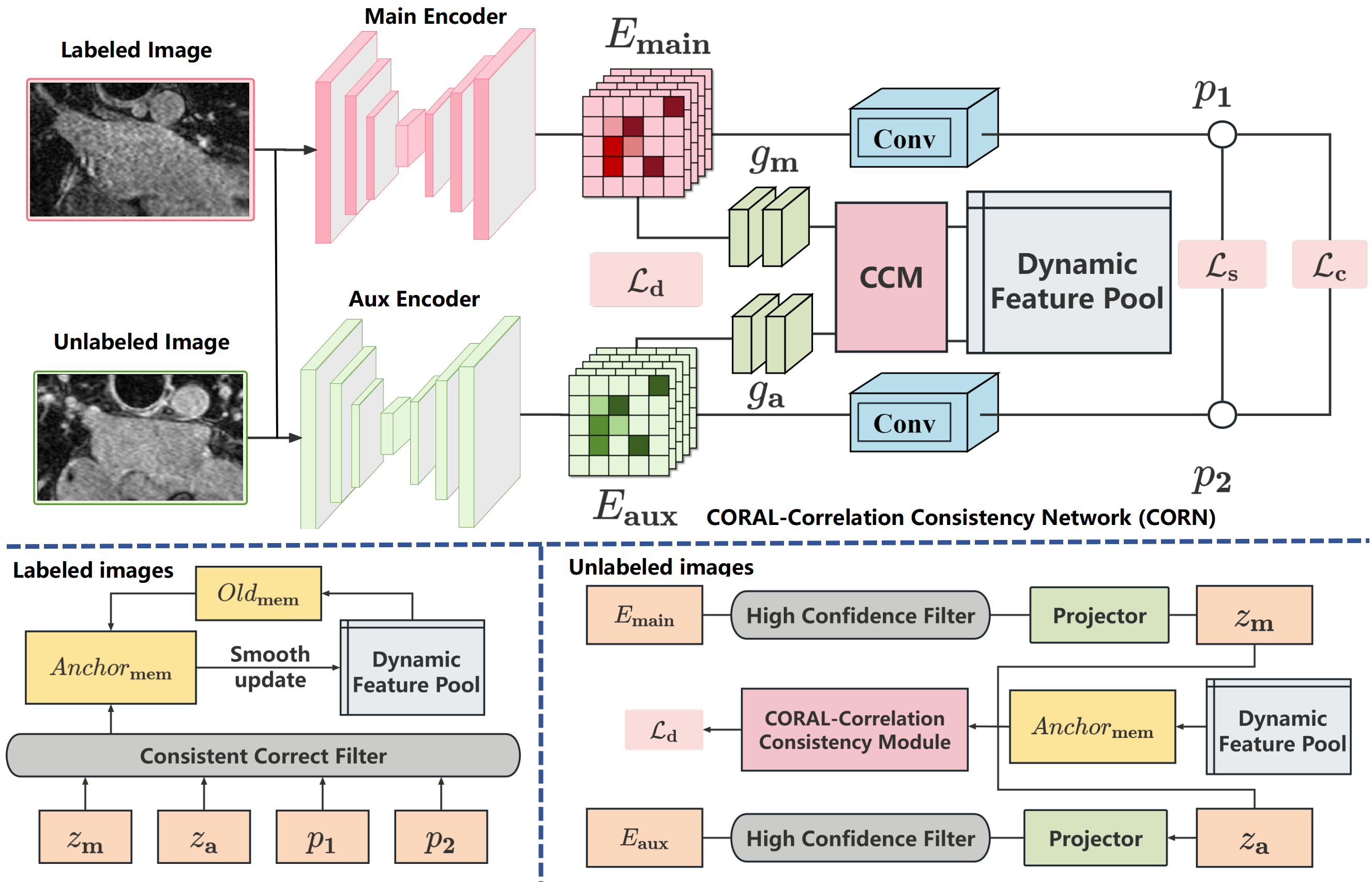 [2410.15916] Leveraging CORAL-Correlation Consistency Network for Semi-Supervised Left Atrium ...