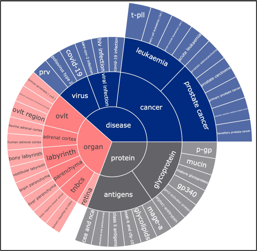 [2410.17051] Data-driven Coreference-based Ontology Building