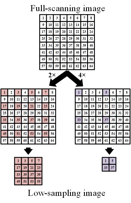 [2410.19786] Resolution Enhancement of Under-sampled Photoacoustic Microscopy Images using ...