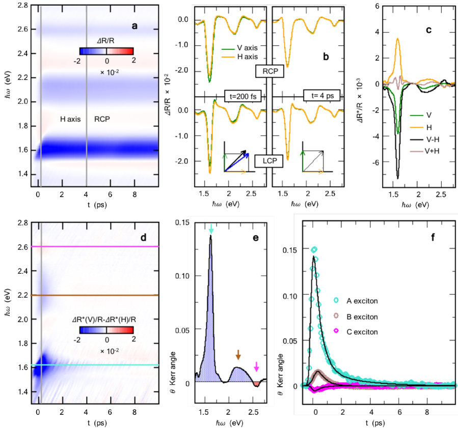 [2411.06561] Ultrafast light-driven optical rotation and hidden orders ...