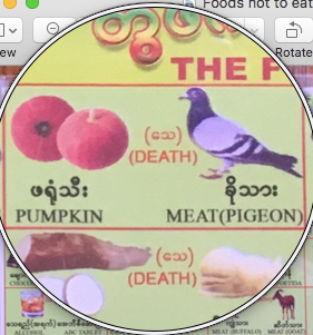 [2411.10743] Never eat a Pigeon with a Pumpkin: a model for the ...