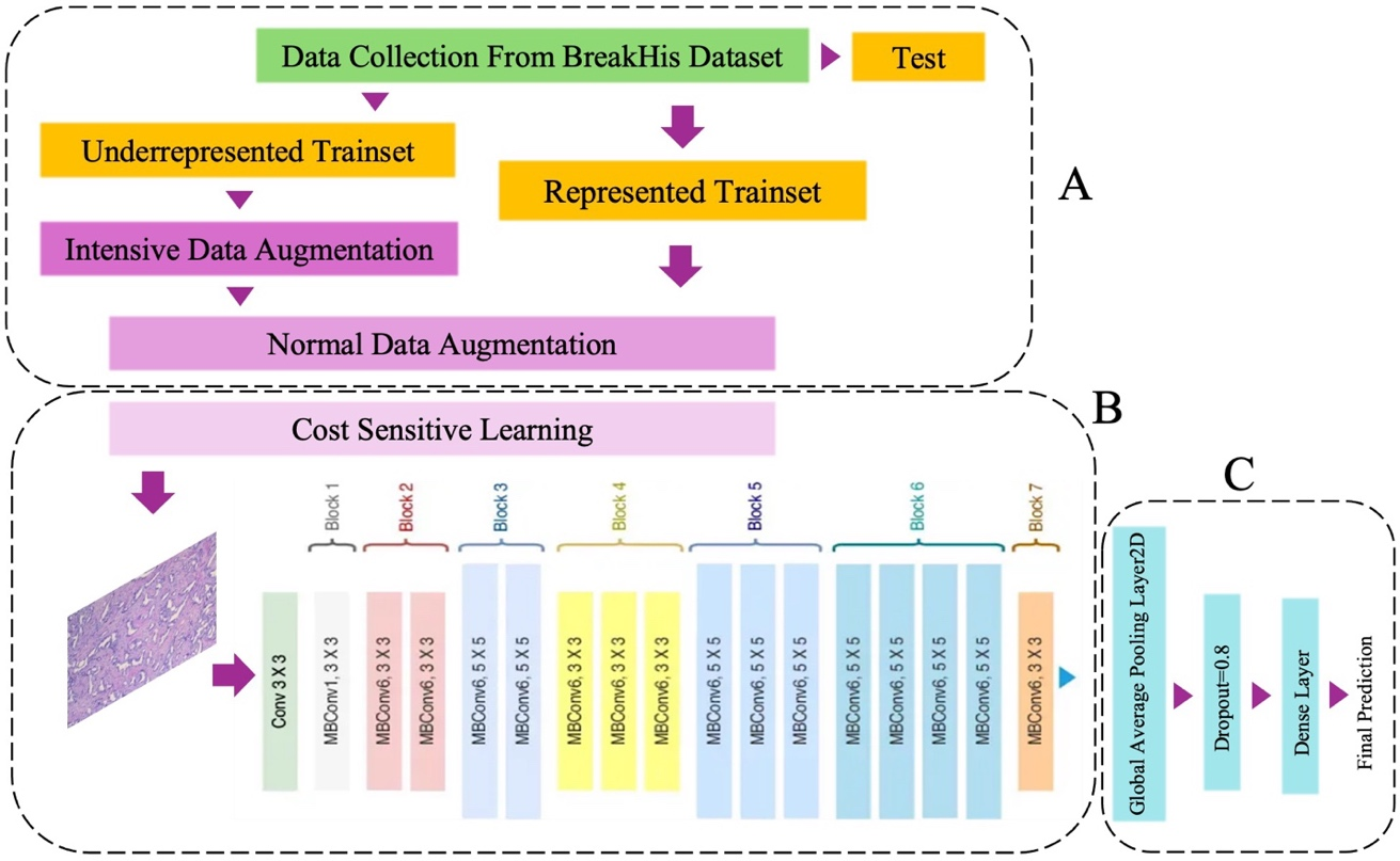 [2411.17870] Breast Tumor Classification Using EfficientNet Deep Learning Model
