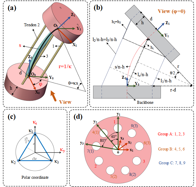 [2412.03508] Design and Control of an Ultra-Slender Push-Pull Multisection Continuum Manipulator ...
