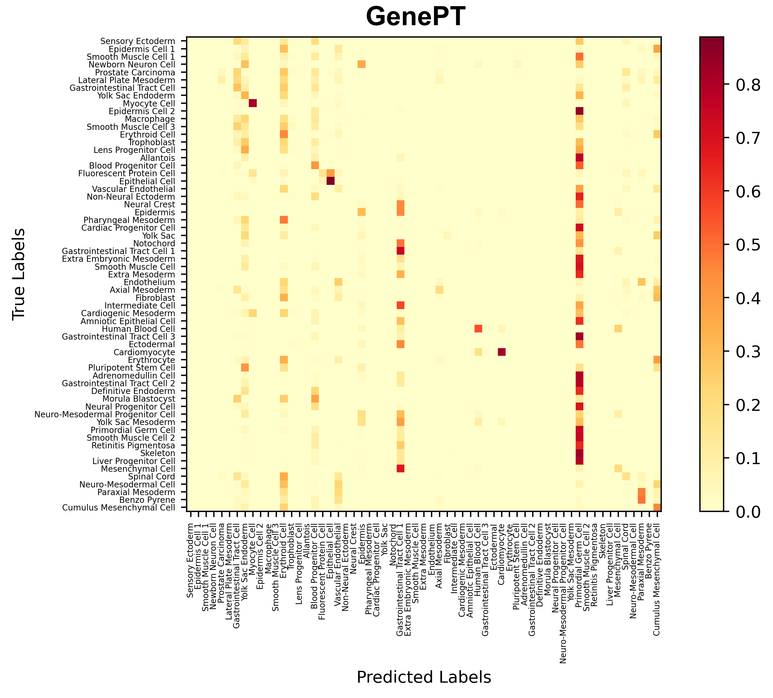 [2412.18156] scReader: Prompting Large Language Models to Interpret scRNA-seq Data