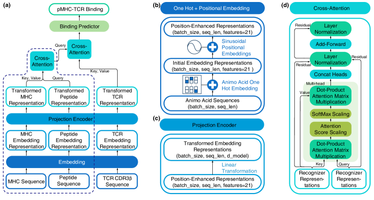 [2501.01768] Remodeling Peptide-MHC-TCR Triad Binding as Sequence ...