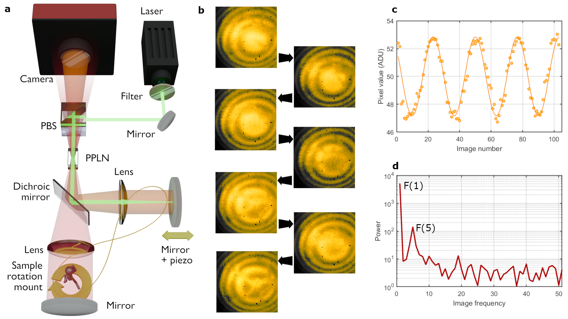 [2501.05381] Quantum undetected optical projection tomography