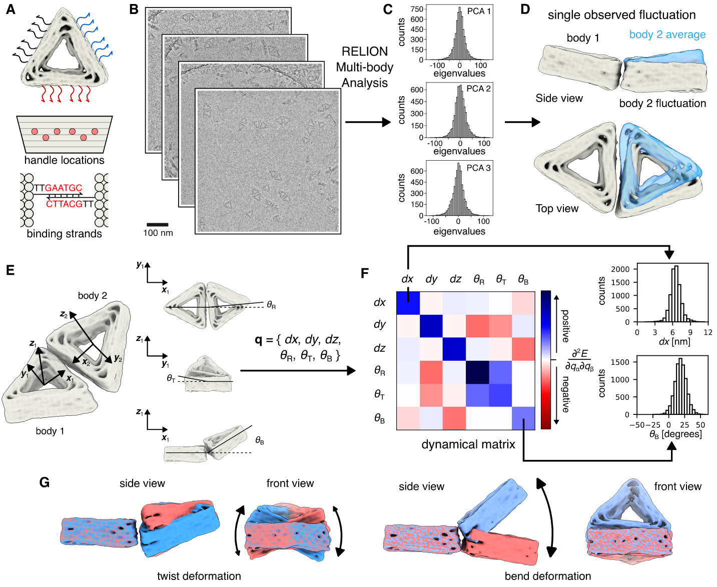 [2501.09230] Measuring multisubunit mechanics of geometrically ...