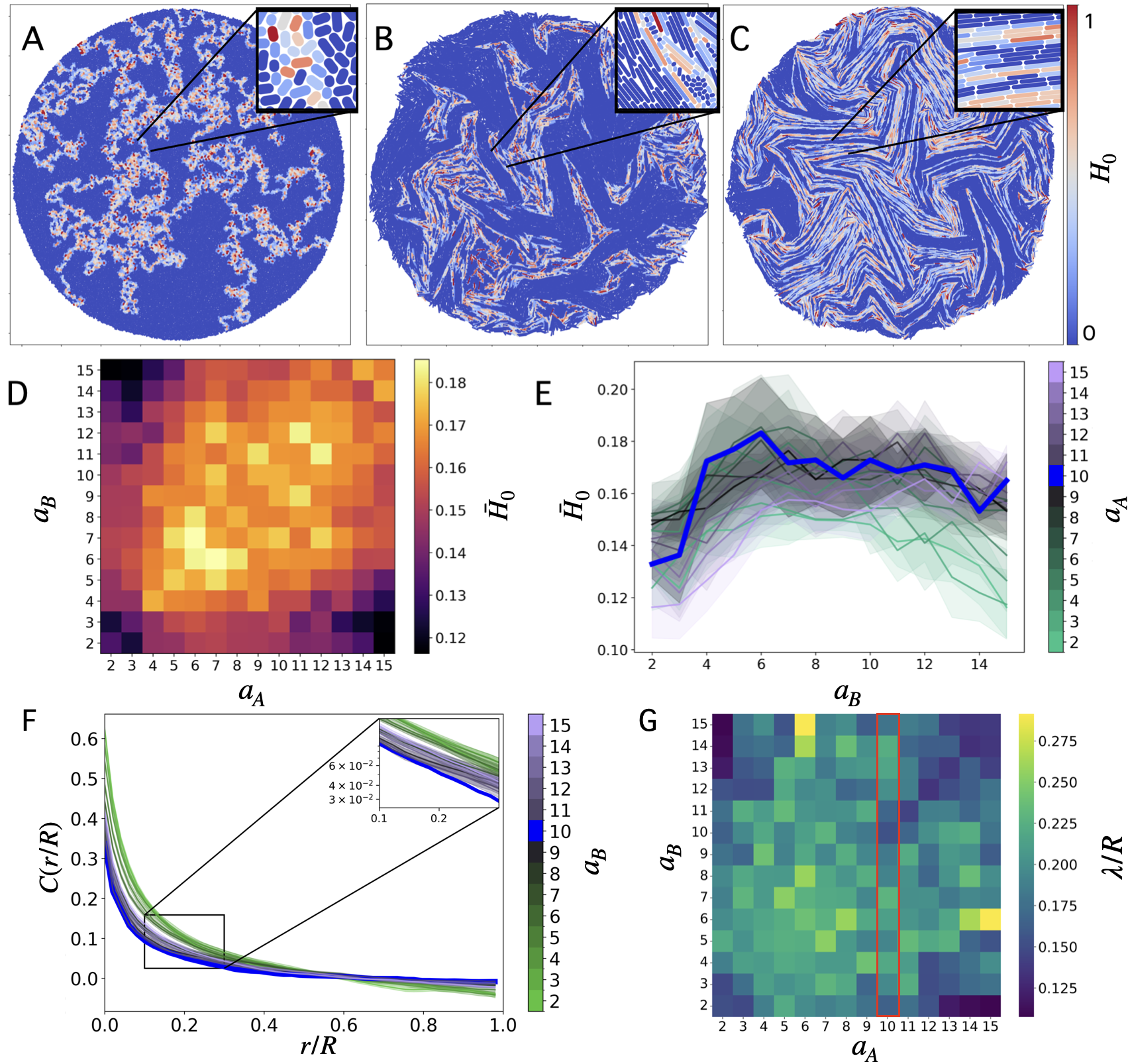 [2501.11177] Spontaneous spatial sorting by cell shape in growing ...