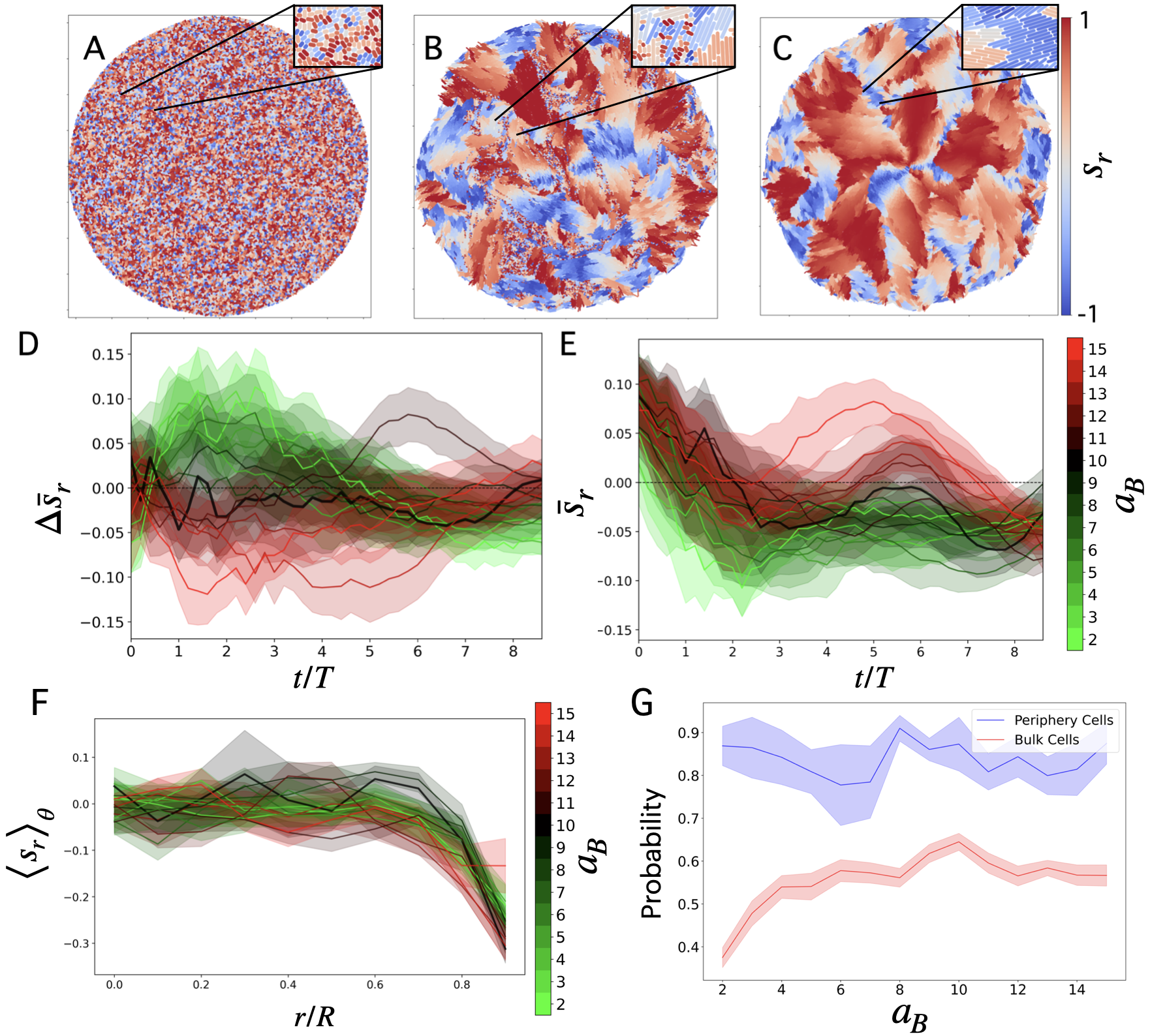 [2501.11177] Spontaneous spatial sorting by cell shape in growing ...