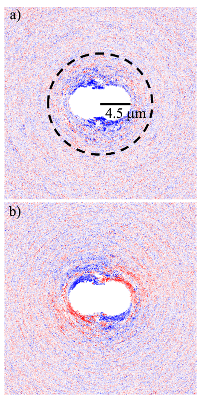 [2502.05166] Stirring supercooled colloidal liquids at the particle scale
