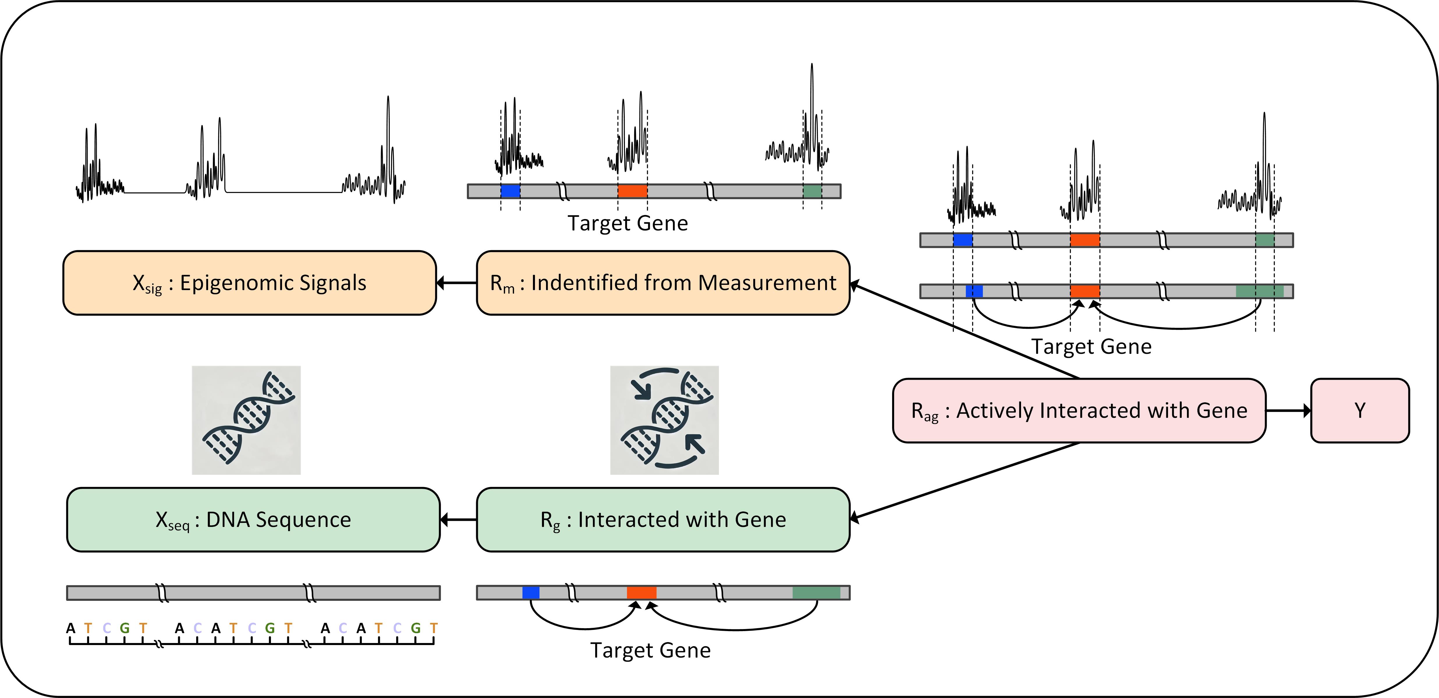 [2502.13991] Learning to Discover Regulatory Elements for Gene Expression Prediction