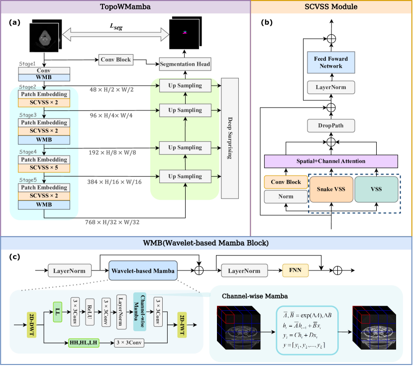 [2502.14363] Topology-Aware Wavelet Mamba for Airway Structure Segmentation in Postoperative ...