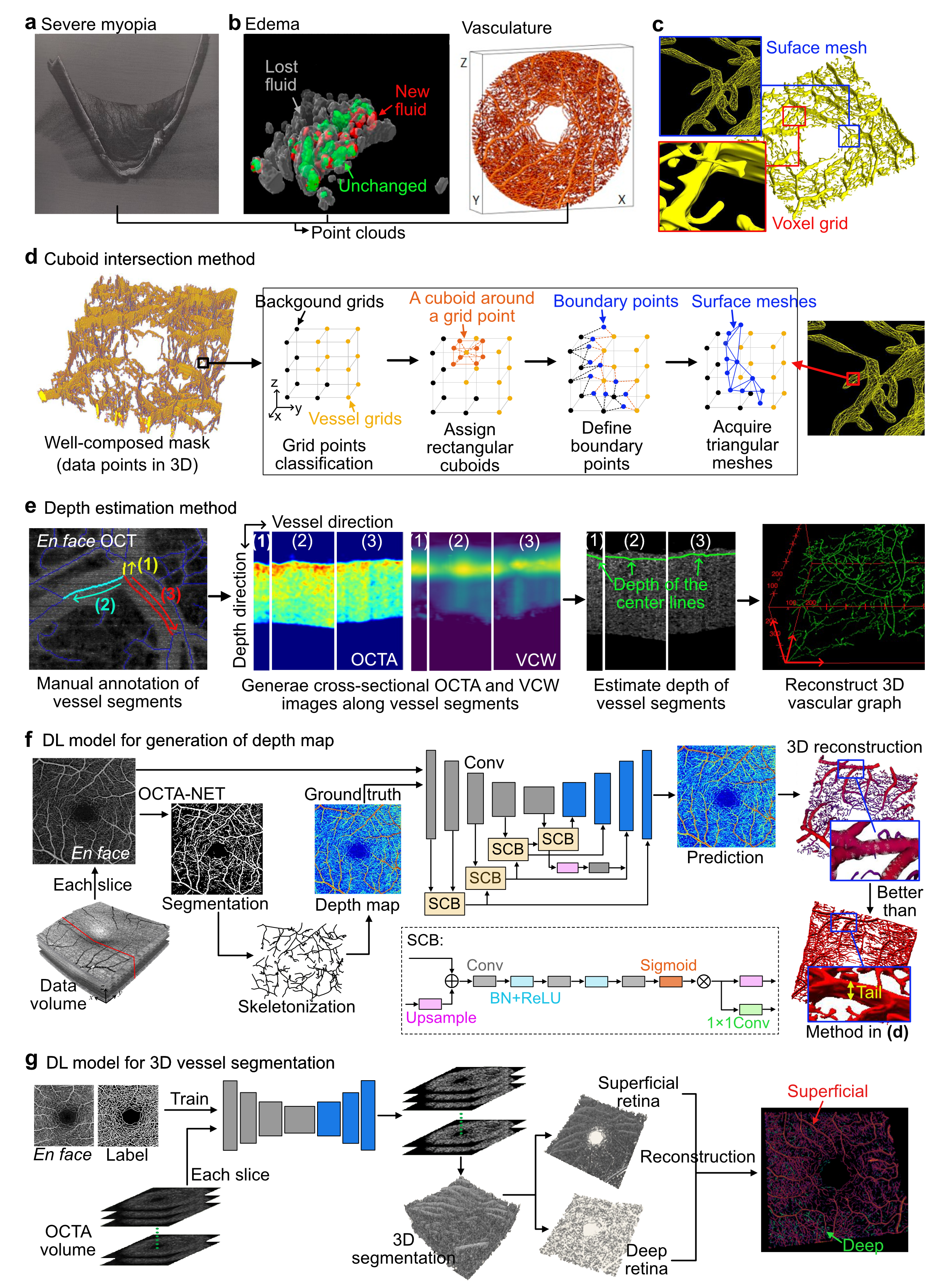 [2502.14935] Denoising, segmentation and volumetric rendering of ...