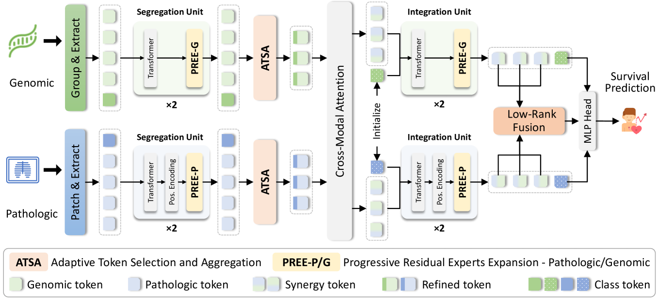 [2503.21124] AdaMHF: Adaptive Multimodal Hierarchical Fusion for Survival Prediction
