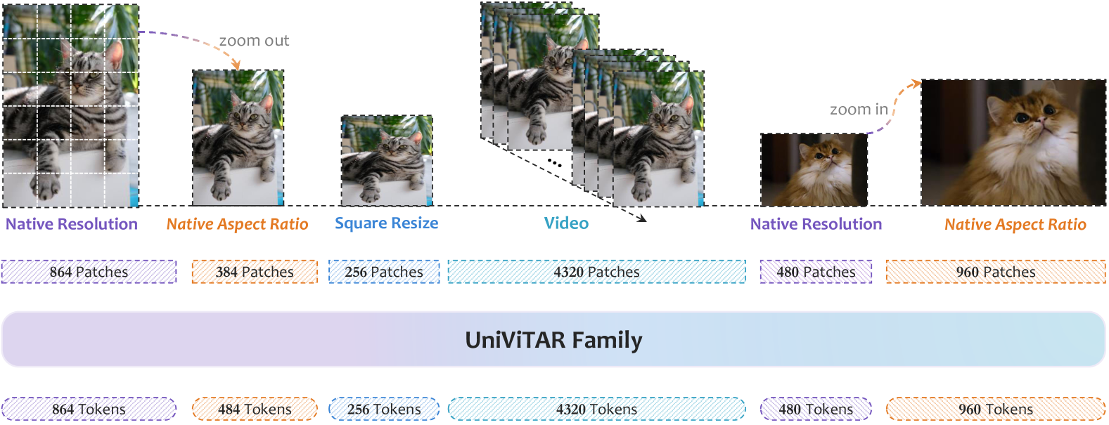 [2504.01792] UniViTAR: Unified Vision Transformer with Native Resolution